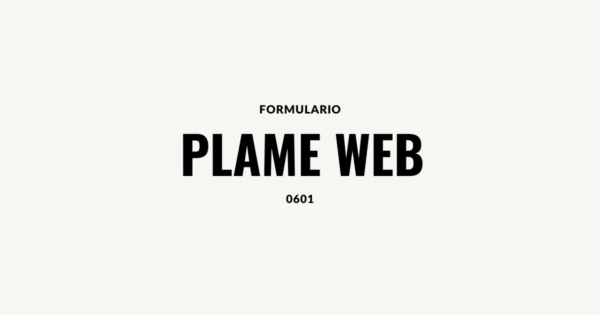 Plame Web Sunat 0601 - MISHA