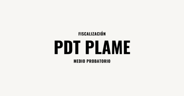 El PDT PLAME como obligación formal y medio probatoria - MISHA